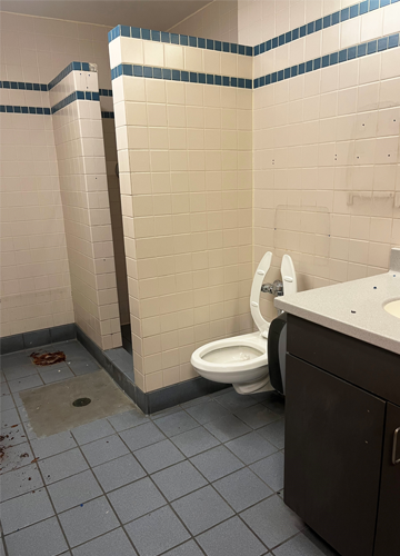 SaniGLAZE - SaniGLAZE Processes - VariGLAZE MAX