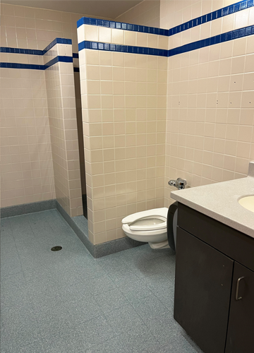 SaniGLAZE - SaniGLAZE Processes - VariGLAZE MAX